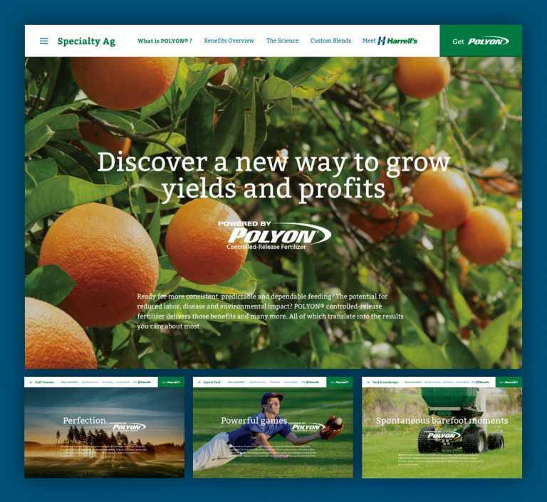 Polyon Microsite + Brochure | CNP